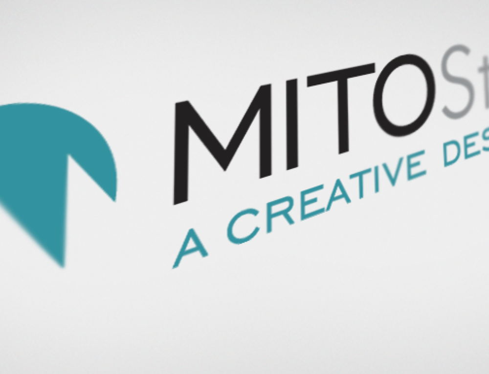 Logo Design | United Northern Financial | MITO Studios