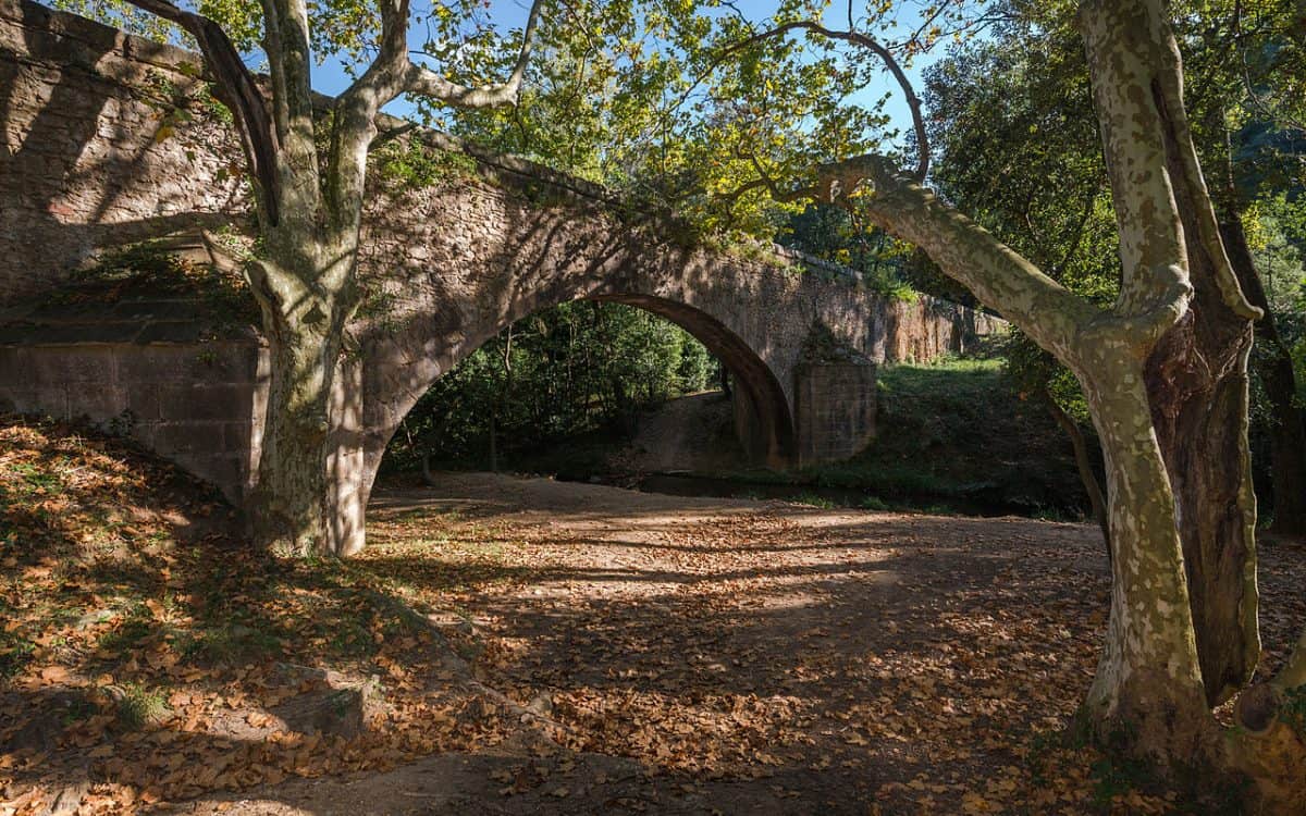 What is a Featured Image? Definition & Examples