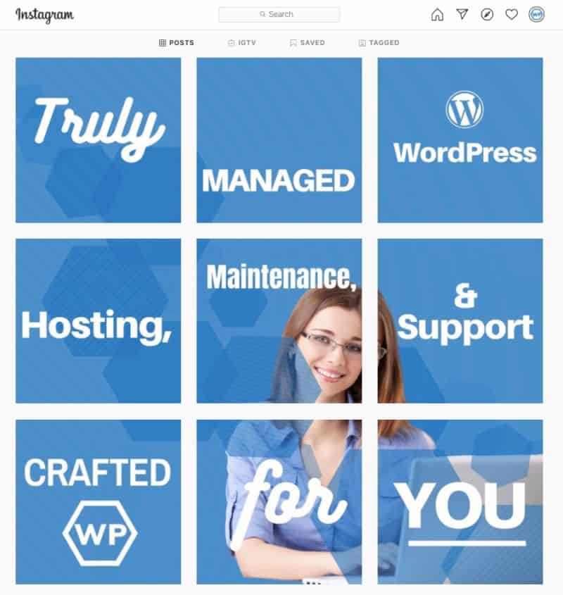 Introducing . . . WP Site Pros! Managed WordPress Website Hosting - MITO Studios